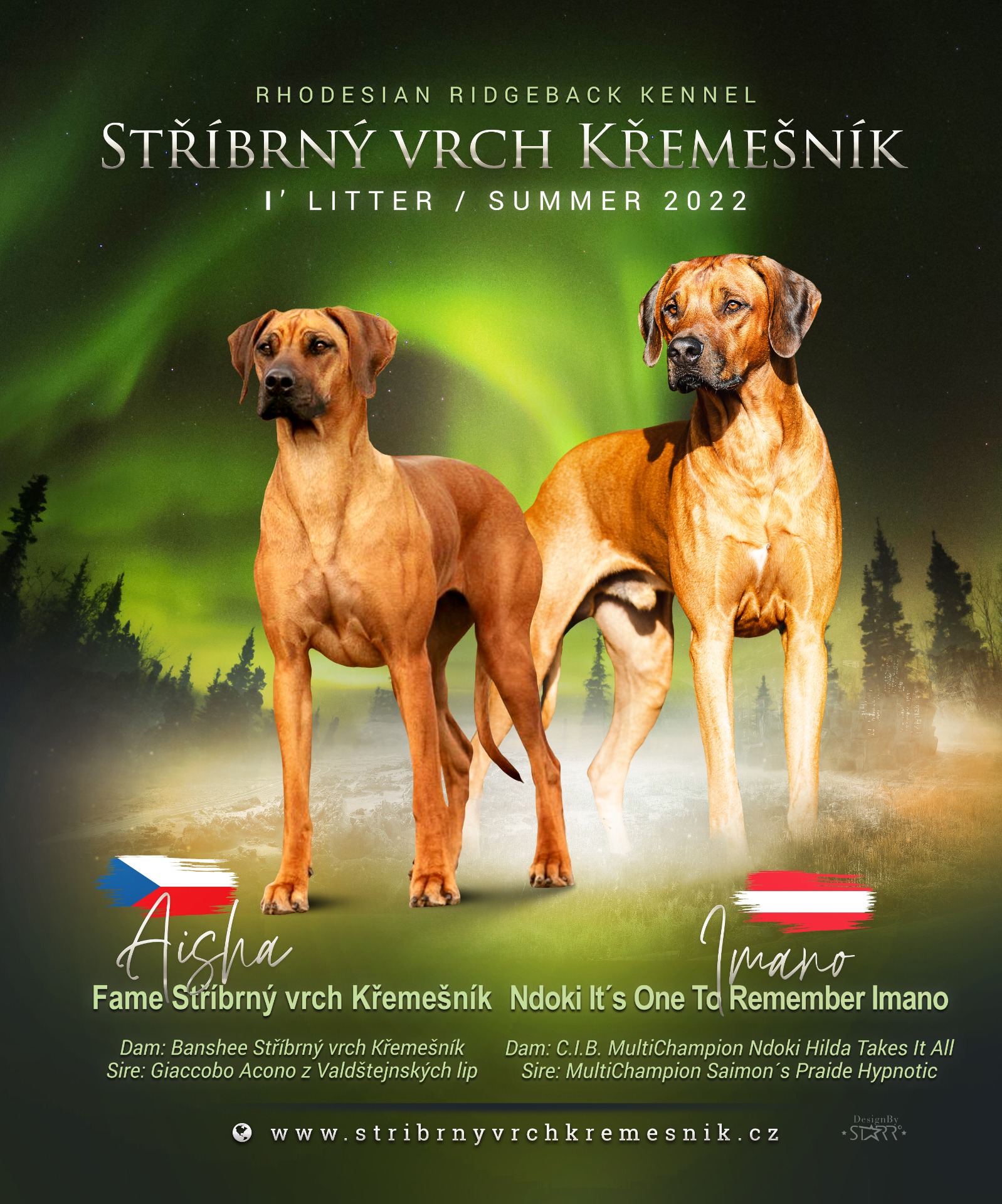 Reference :: Rhodesky ridgeback celá čr