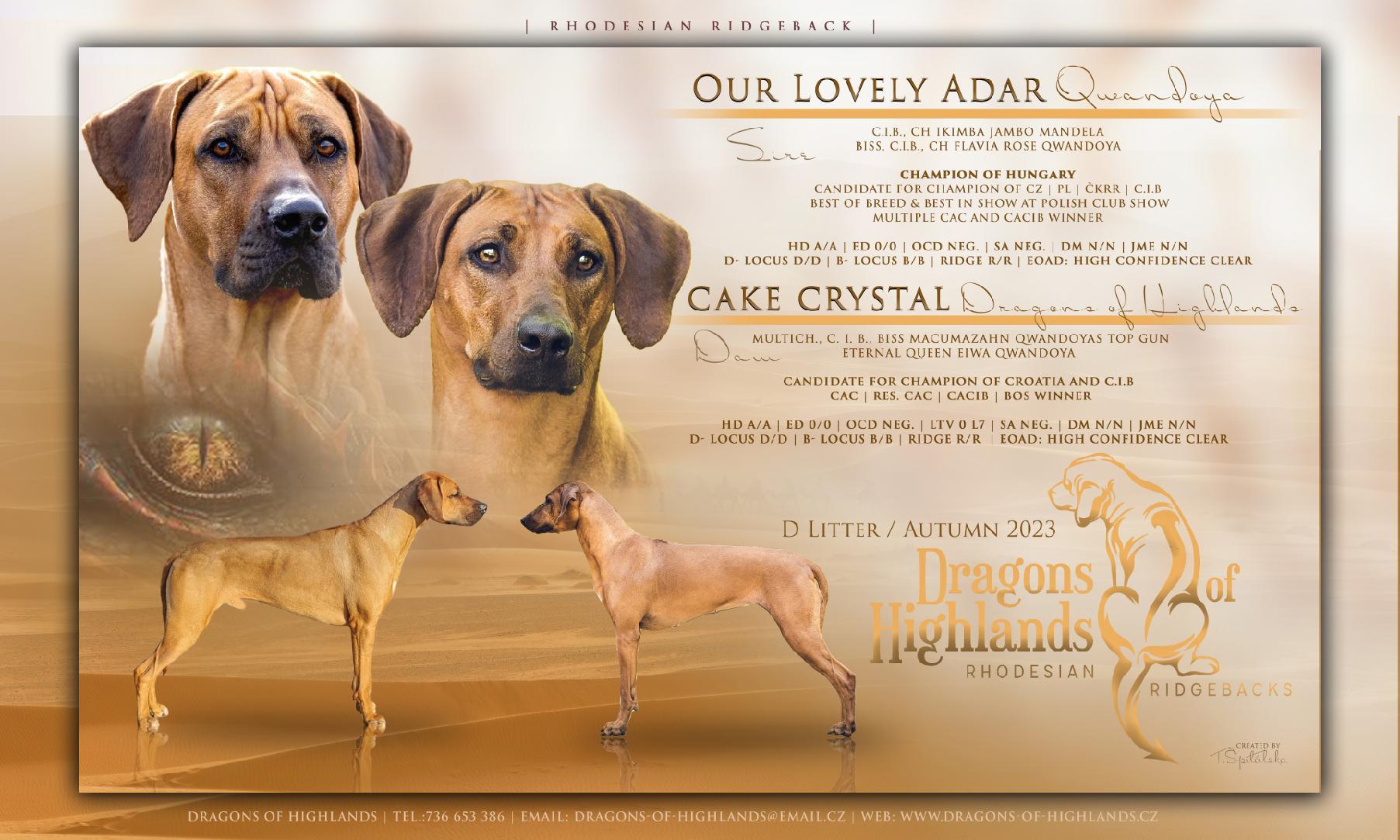 Aktuální vrhy :: Rhodesky ridgeback celá čr