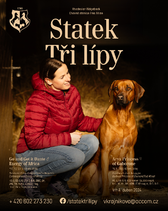 Reference :: Rhodesky ridgeback celá čr